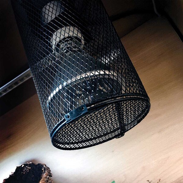 Arcadia Deep Heat Projector | Monkfield Reptile