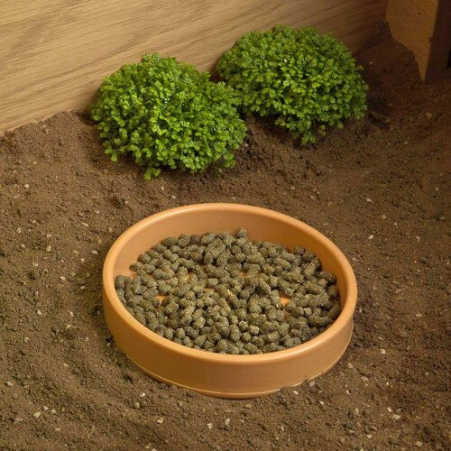 HabiStat Tortoise Table Accessory Kit | Monkfield Reptile