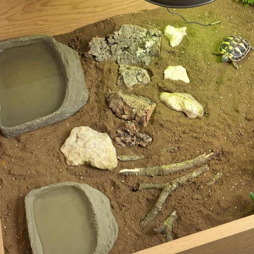HabiStat Tortoise Pool | Monkfield Reptile