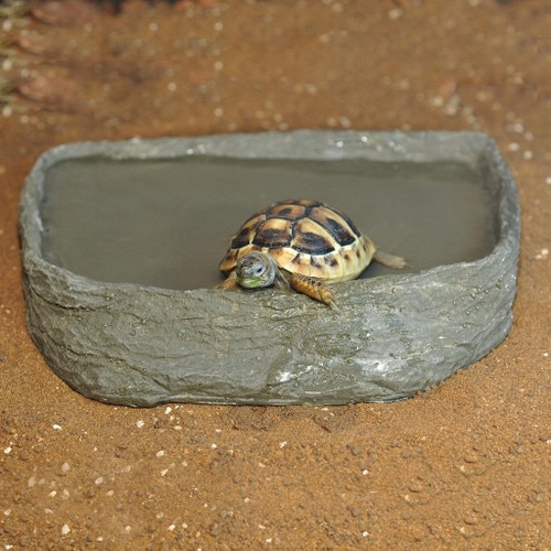 HabiStat Tortoise Pool | Monkfield Reptile