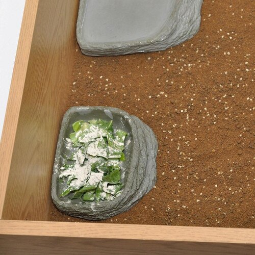 HabiStat Tortoise Pool | Monkfield Reptile