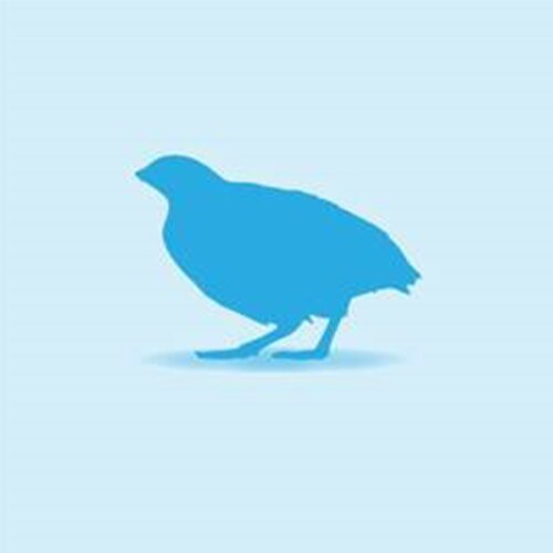 Monkfield Prime Quail | Monkfield Reptile