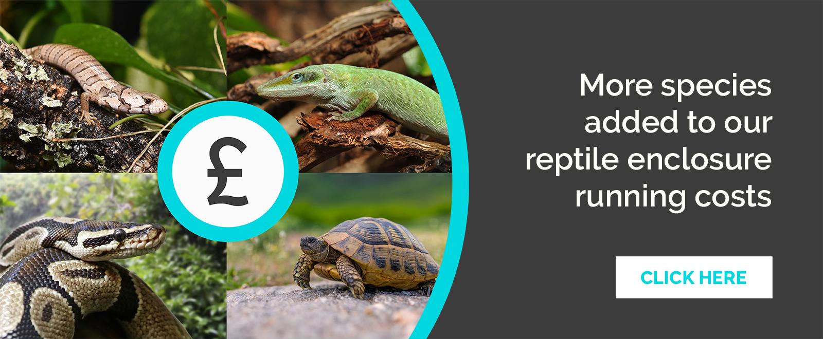 Monkfield Reptile | Reptile and Livefood Wholesaler