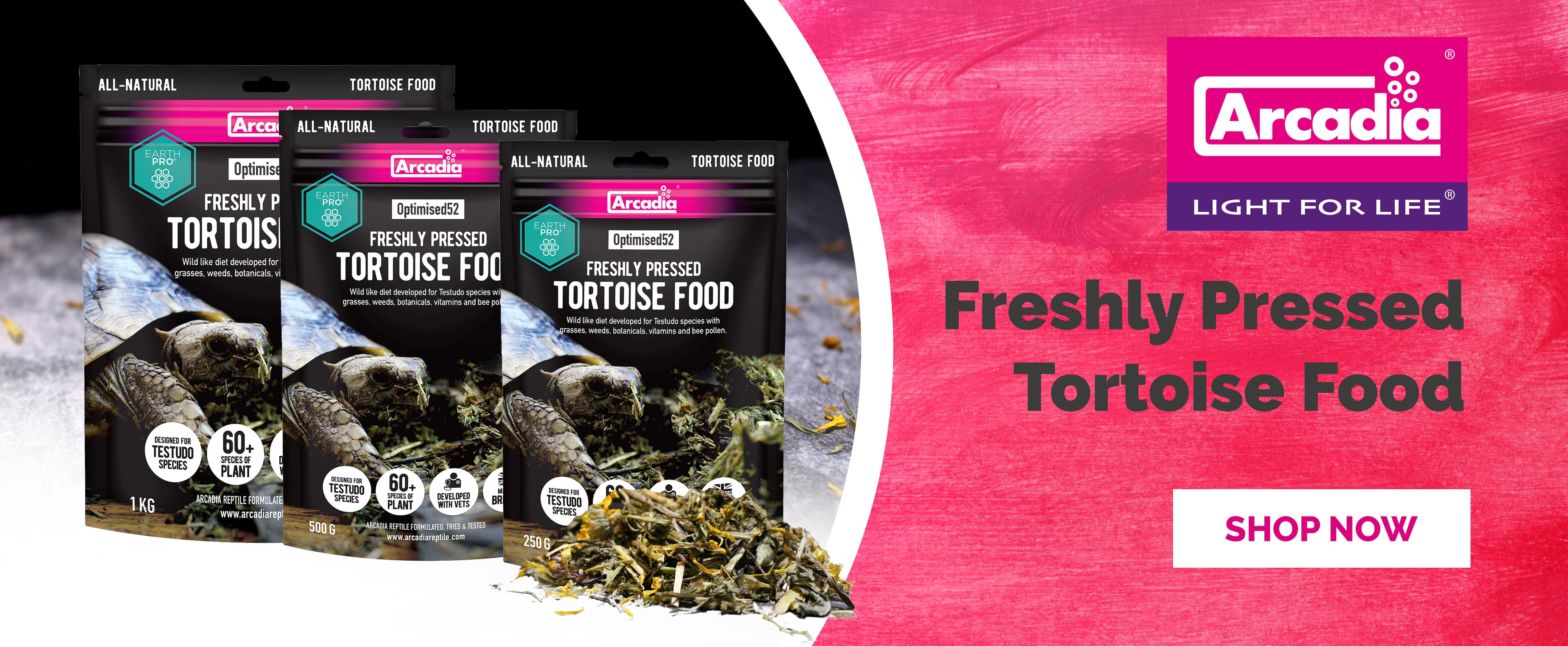 Monkfield Reptile | Reptile and Livefood Wholesaler