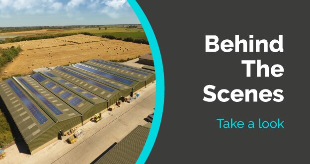 Monkfield Reptile | Reptile and Livefood Wholesaler